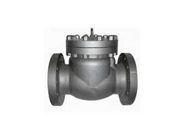 Jual VALVE Swing Check Valve ANSI Class 600 - PT. Cahaya Putri Pertama ...